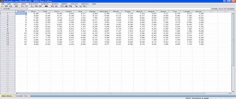Data View Spss Mobilestatistikcom