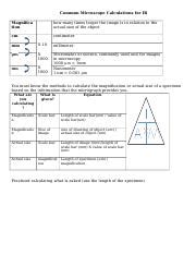 Microscope Calculations And Biological Drawings Guide For IB Course Hero