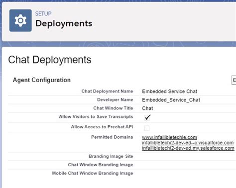 Agent Offline Issue When Einstein Bot Is Configured In Salesforce Infallibletechie