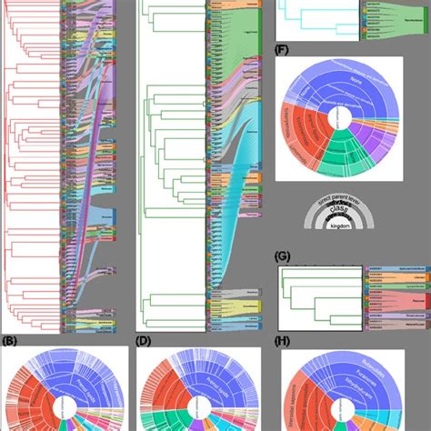 The Four Sub Clusters In The Whole Dendrogram Figure S2 A The Download Scientific Diagram