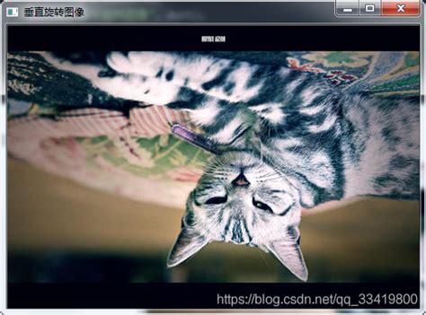 Opencv：之flip实现图像旋转flip图像 Csdn博客