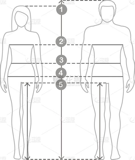 女人 男人 深的 比例 测量工具 长度 模板 图表 测量 站素材 花瓣网