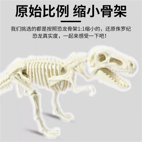Dinosaur เกมตกปลา★ ฟอสซิลไดโนเสาร์โบราณคดีขนาดใหญ่ Tyrannosaurus Skeleton Skeleton Toys Minings