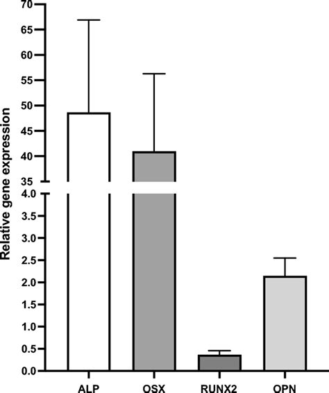 Mean Relative Gene Expression Alkaline Phosphatase ALP Osterix