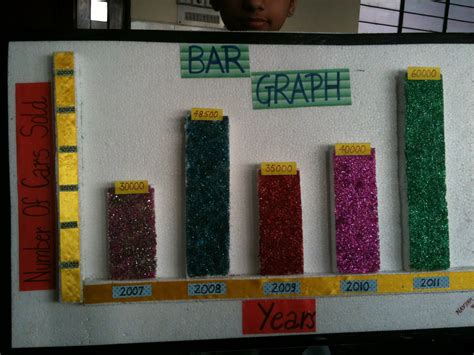 Bbps Bal Bharati Public Babe Rohini Bar Graph Model By Navyah 6B