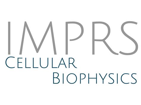 Top Degrees In Natural Sciences Physics Theoretical Physics In Germany For 2025