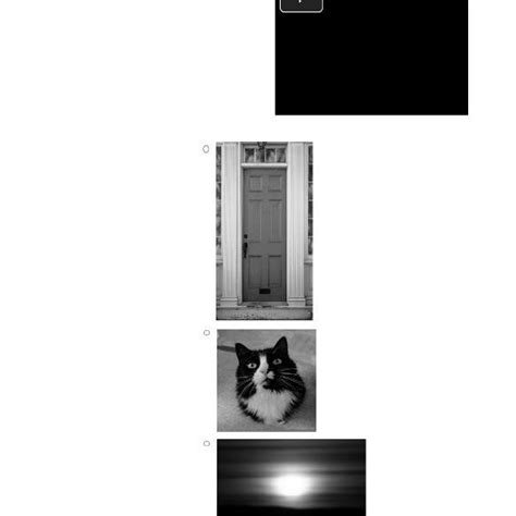 Screenshot Of Vowel Identification Task Download Scientific Diagram