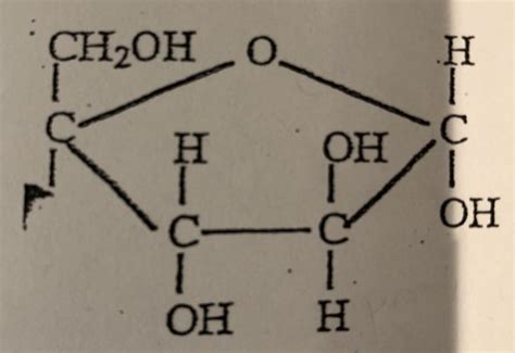 Biomolecules Flashcards Quizlet