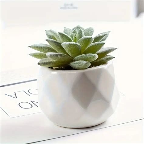 1개 인공 다육식물 꽃병 포함 작고 귀여운 미니 시뮬레이션 다육식물 화분 홈 사용을 위한 독특한 꽃병 데스크탑 주방 장식