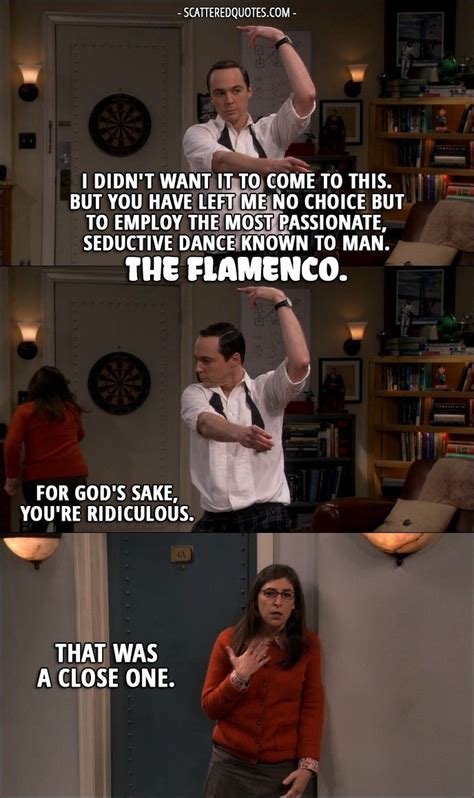 Pin On The Big Bang Theory │ Quotes