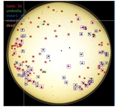 Live Food Counting Tool Artemia Knowledge Hub