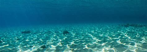 Deep Seafloor Sediments And The Age Of The Earth The Institute For Creation Research