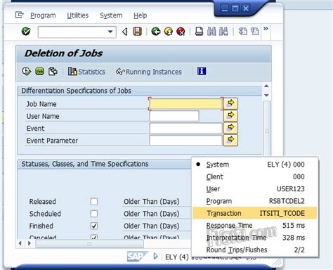 Create Sap Customize Copy Of Transaction Code