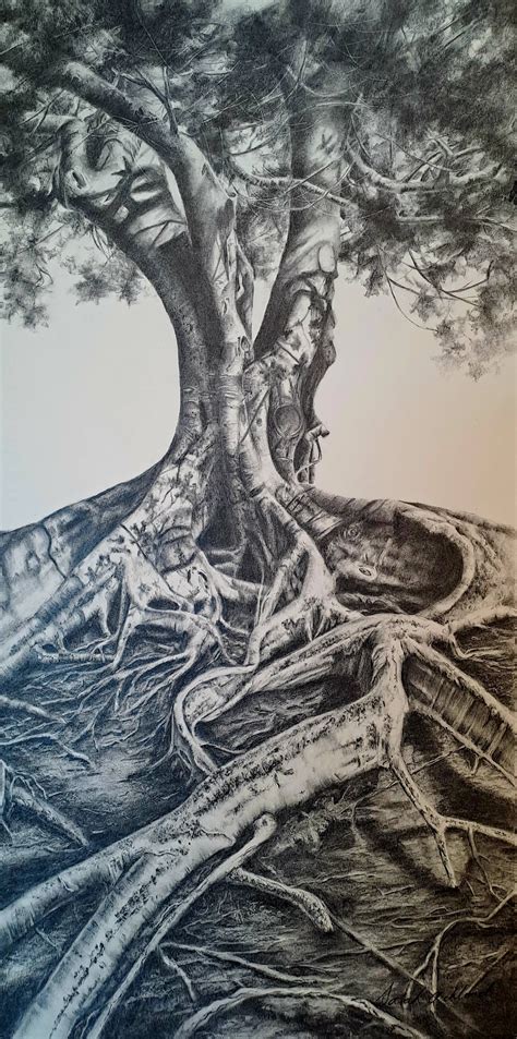 Pencil Drawing Of Tree Roots