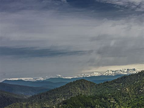 Home Karan Singh Negi