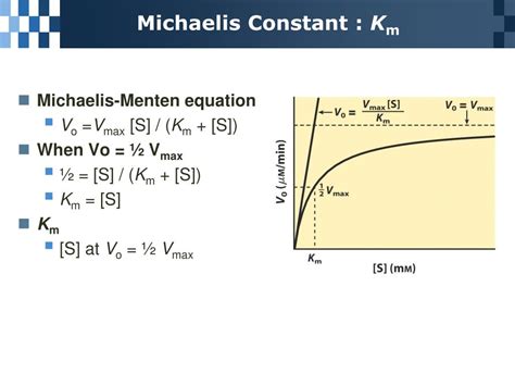 How To Calculate Vmax From A Graph PELAJARAN