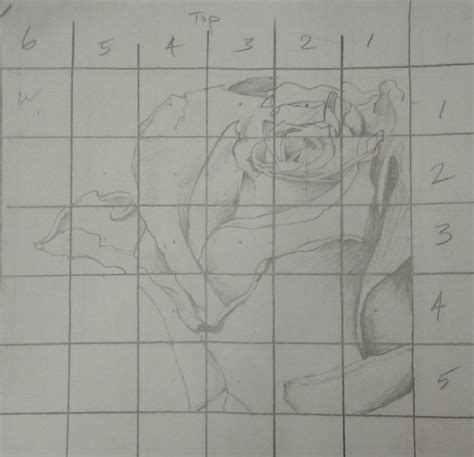 Example Of Grid Drawing In Process Drawings Sketches Male Sketch