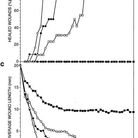 Immunohistochemical Staining For Fibrin In Wounds From Plg ϩ ϩ And