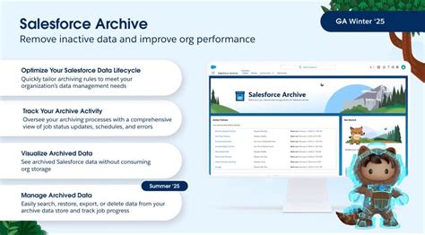Stephane Plancke On Linkedin Salesforce Datamanagement Efficiency Crm Salesforceadmins