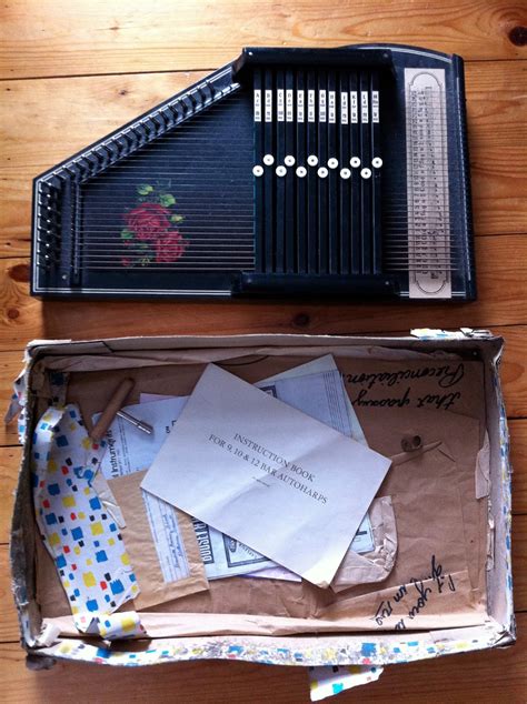 Dodgy Stereo Autoharp