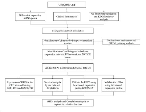 Workflow Diagram Of Data Preparation Processing Analysis And