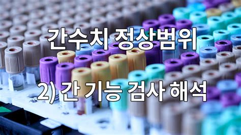 간수치 정상범위 2 간 기능 검사 결과 수치 해석