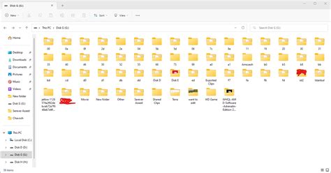 Bug Is V2raynexe Is A Malware What Are These Folders In My Dirve