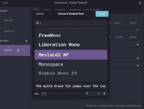 [powerlevel10k] Cant Switch To Regular Font Im Using Gnome Terminal