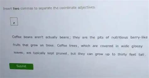 Insert Two Commas To Separate The Coordinate Adjectives Coffee Beans