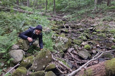 Maxwellhanrahan Foundation