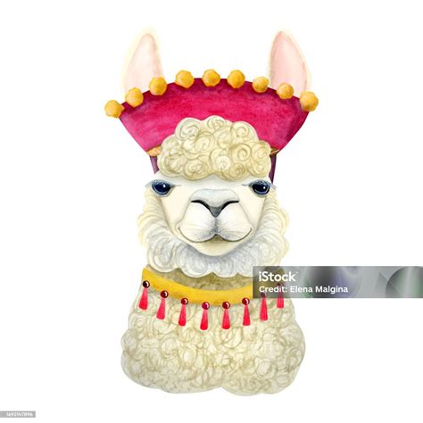 수채화 귀여운 알파카 라마는 전통적인 페루 장식과 액세서리로 생일 인사말 카드 포스터 및 초대장을 위한 레드 핑크 색상의 만화 삽화를 가지고 있습니다 가공의 인물에 대한