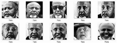 18 Local Database Images Filtered With Wavelet Based Normalization Download Scientific Diagram