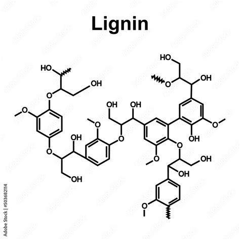 Lignin Fiber Molecule Chemical Structure Skeletal Formula Vector Illustration Stock Vector