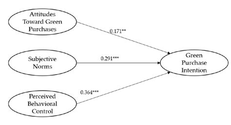 Path Analyses Model P