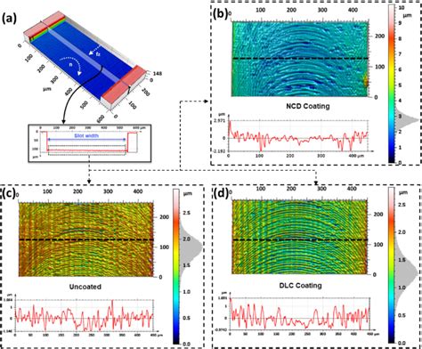 A Sample Scan Area For Three Dimensional Surface Analysis Surface Download Scientific Diagram