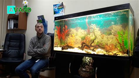 Отзыв от Алексея аквариум «avand Optima 300 литров Youtube