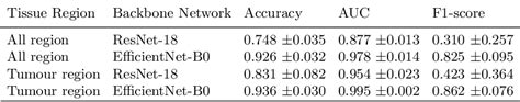 Multi Scale Attention Based Multiple Instance Learning For