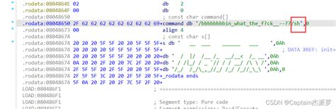 Buuctf Pwn——wustctf2020getshell2 Csdn博客