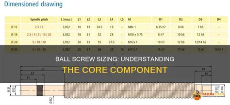 Ball Screw Sizing Understanding The Core Component Shuntool