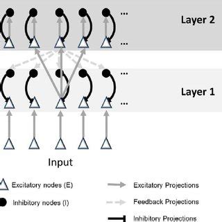 Connection Structure Of The Models Only Five Nodes Of Each Layer Are Download Scientific