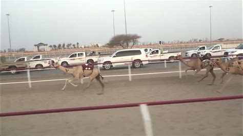 ش6 فوزين لــ عبدالله بن سالم حمد الجنيبي 216 Youtube