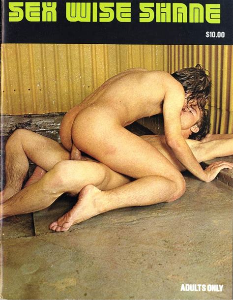 Sex Wise Shane Hommi Publishing