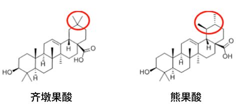 No 146 齐墩果酸、熊果酸同分异构体的分析 微信文章 仪器谱