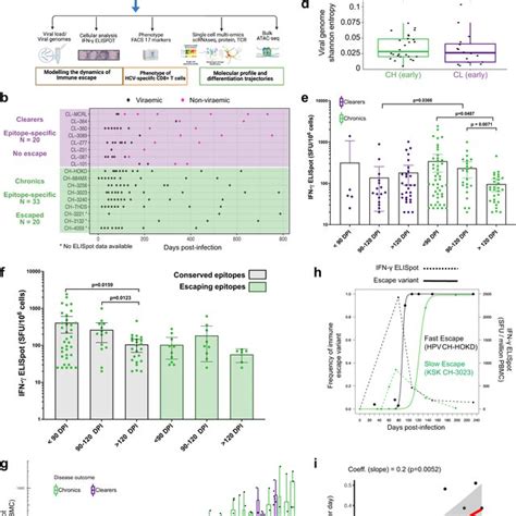 Comprehensive Functional And Multi Omics Analyses Show Early And