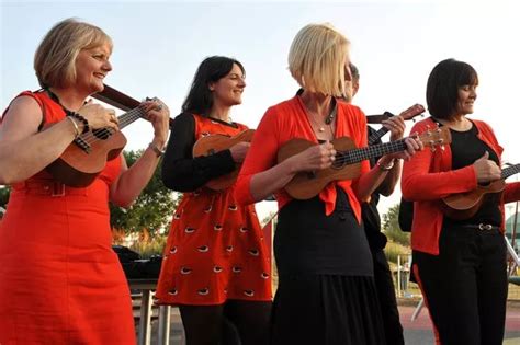 Small Strings Launch Big Summer Programme Of Free Music In Reading Berkshire Live