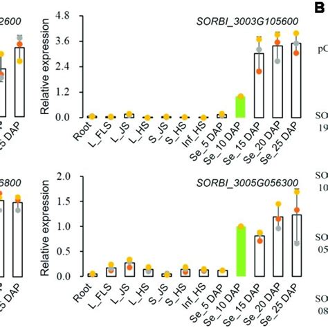 Tissue Specific Detection Of Tfs In Sorghum Via Rna Seq A Heat Map Download Scientific