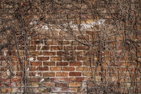 Старая кирпичная стена старого завода Премиум фото