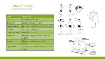 RANGE OF MOTION ROM Measurement Of Movement Pre Med By DreamWorks