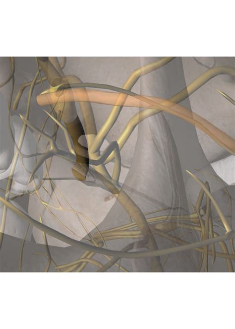 Trigeminal Neuralgia Tsunami Medical The Wave Of Innovation