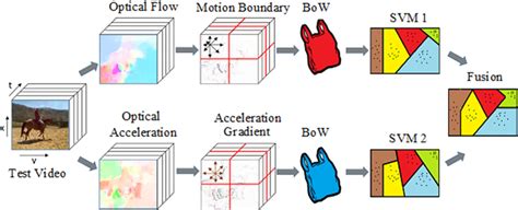 Proposed Action Recognition System Download Scientific Diagram